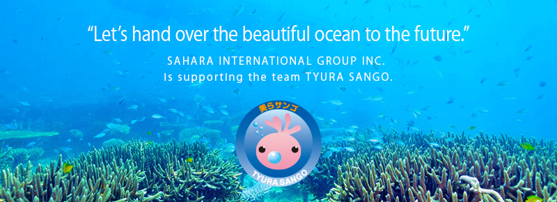 COMPANY｜SAHARA INTERNATIONAL GROUP